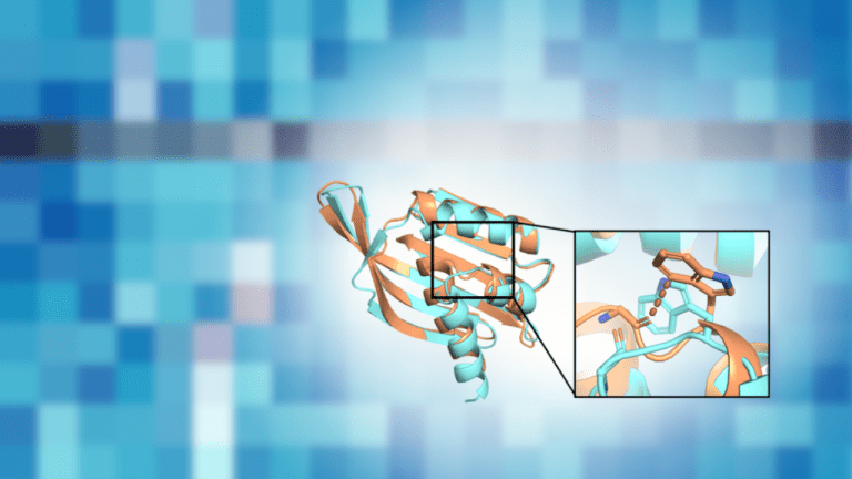 Using protein design experiments to guide energy-function development ...